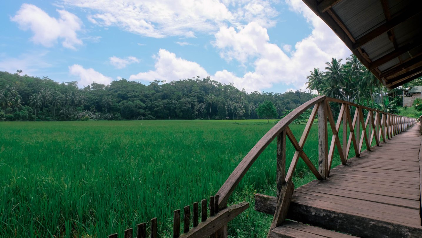 Top Bohol Tourist Spots & Attractions | Philippines